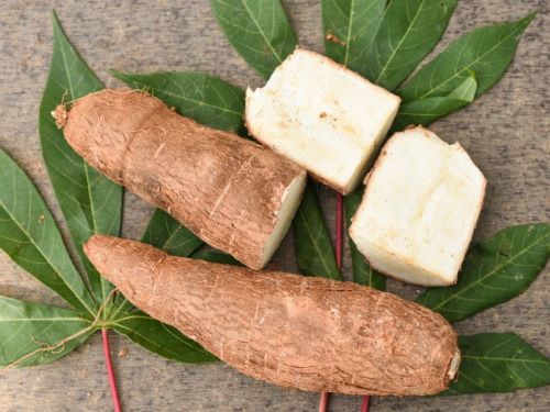 Tapioki pärlid - Bobatee.ee